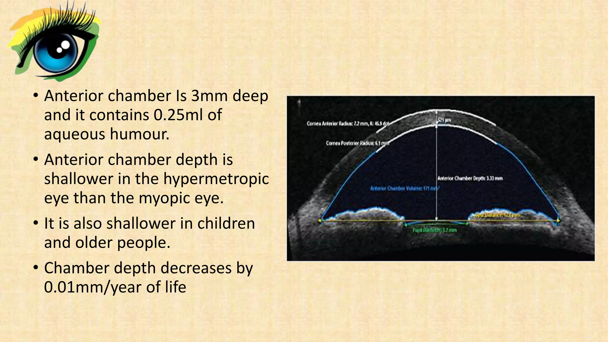 Anterior Chamber Angle Measurement