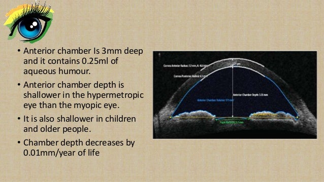 Angle of anterior chamber