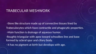 Angle of anterior chamber (2).presentation | PPTX