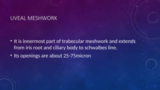 Angle of anterior chamber (2).presentation | PPTX