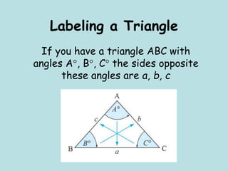 Angle of elevation.pptx