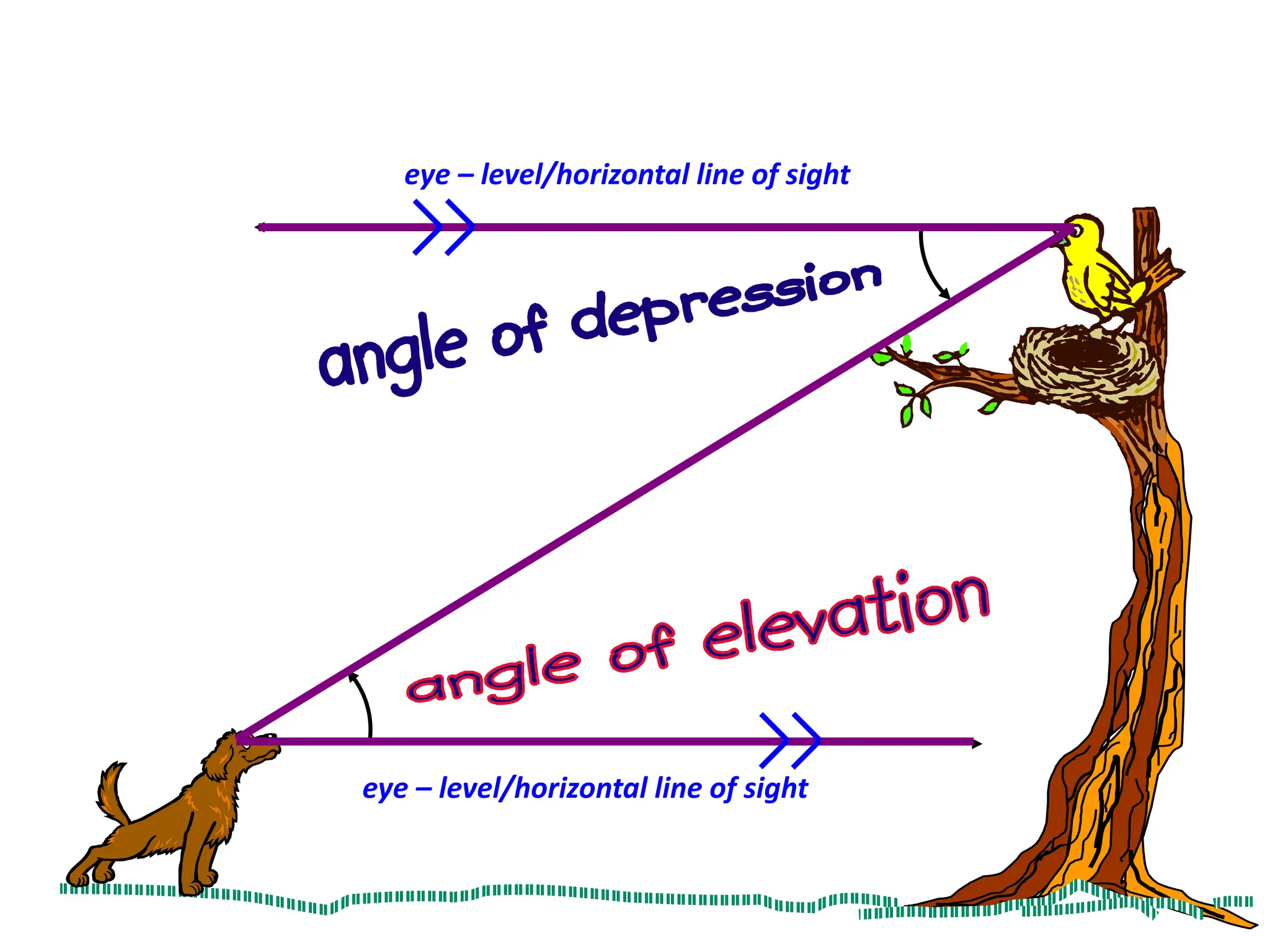 Real life application of angle of elevation and depression.pptx