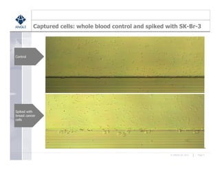 Angle parsortix presentation 07oct11 | PPT