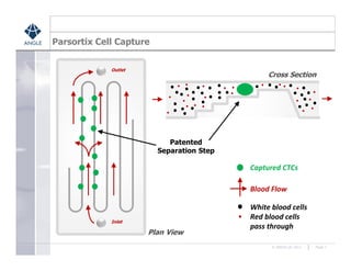 ANGLE Peliminary Results 2013 31jul13 | PPT