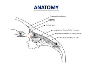 Angle recession glaucoma | PPTX