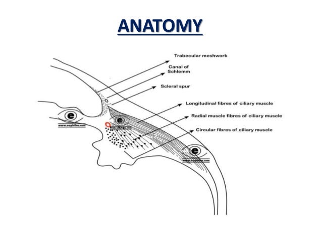 Angle recession glaucoma