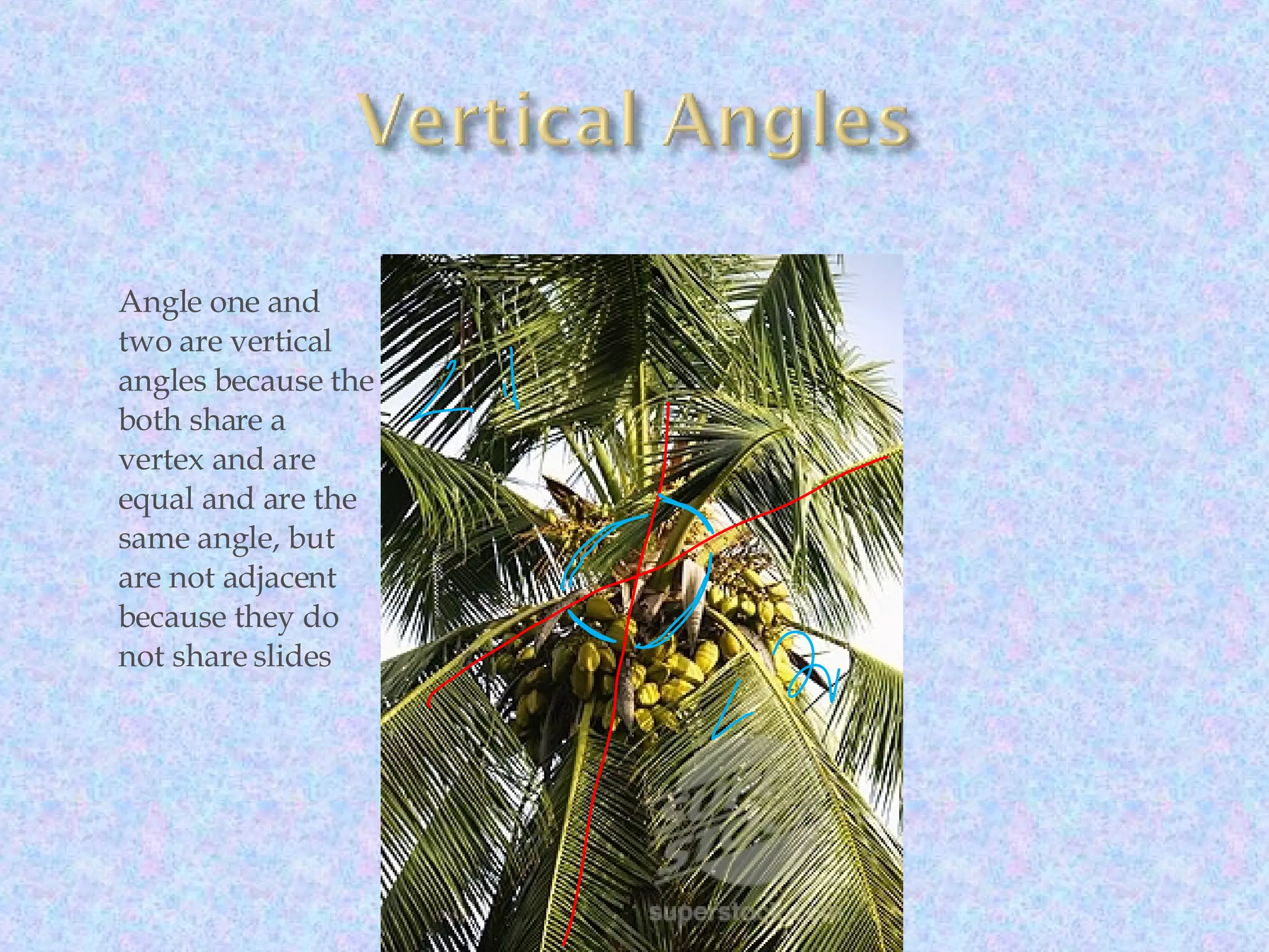 Angles In Nature 2 | PPT