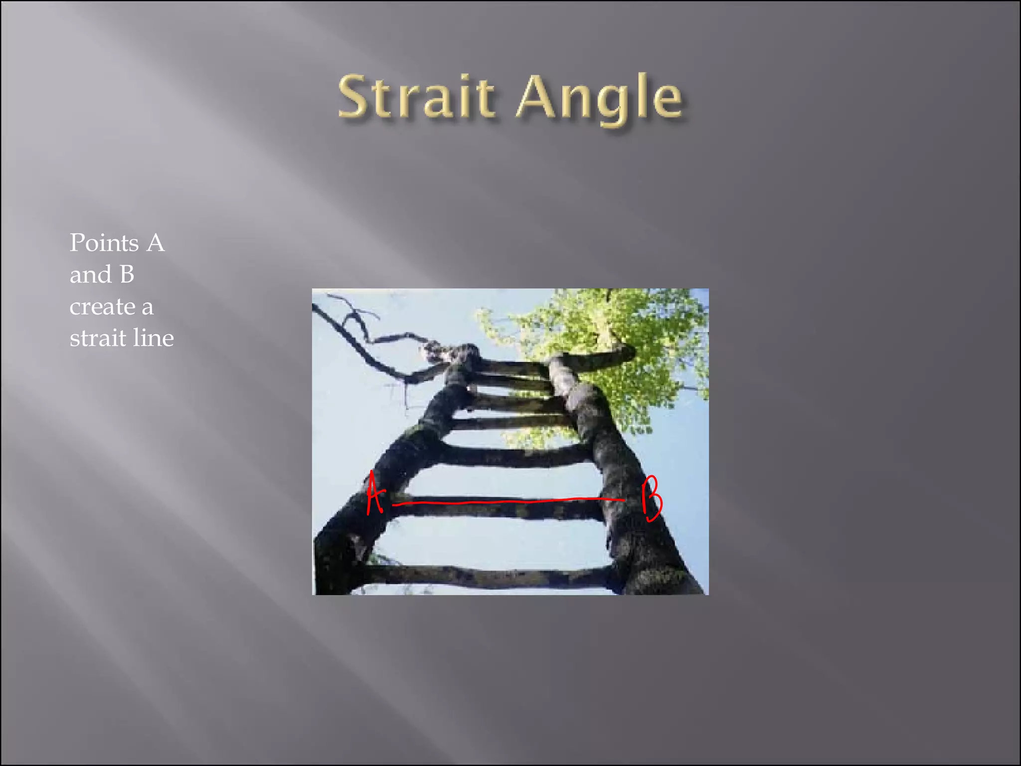 Angles In Nature 2 | PPT