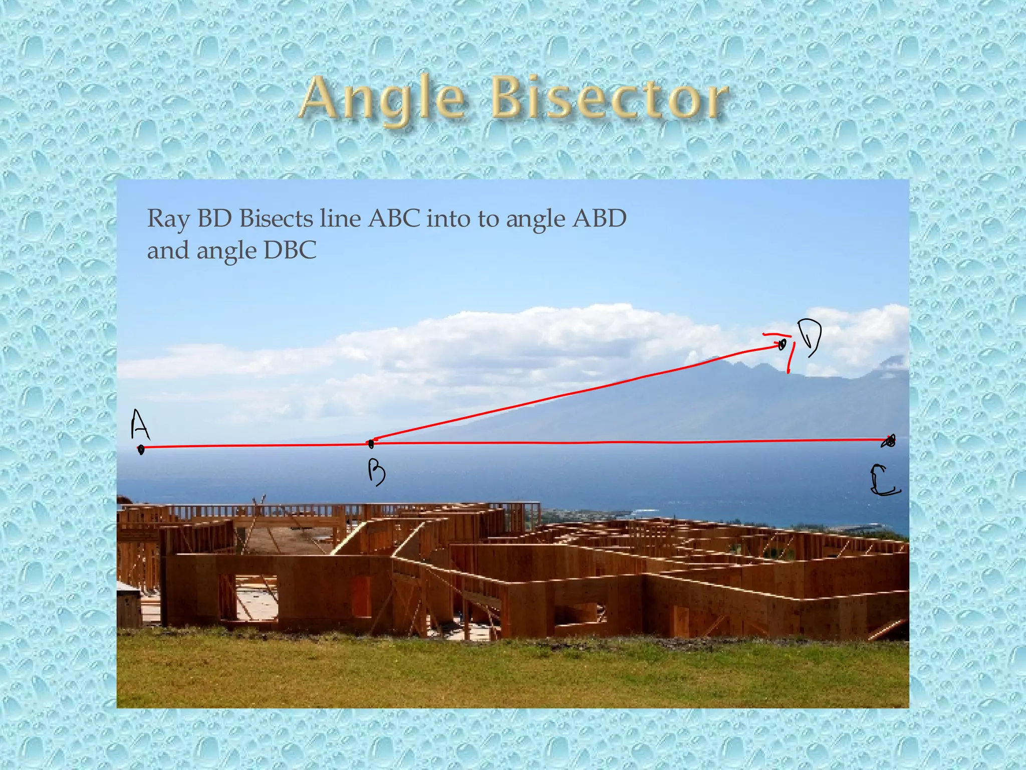 Angle Bisector In Nature