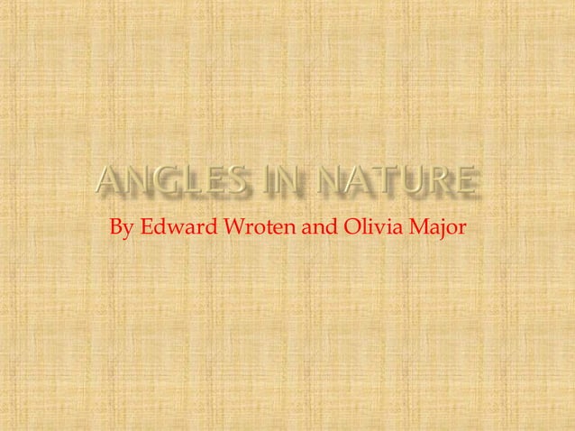 Angles In Nature 2 | PPT