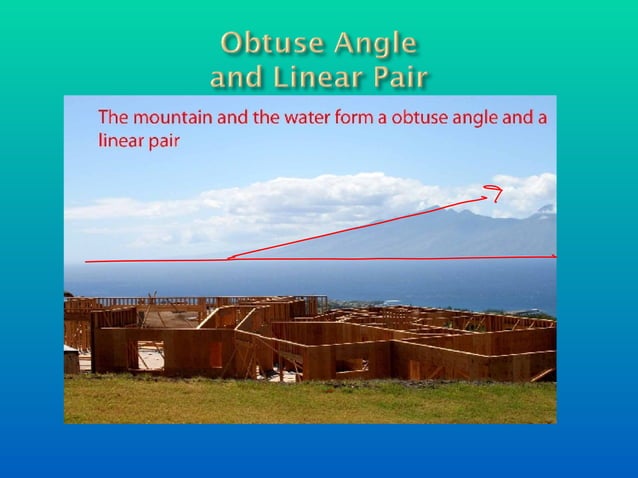 Angles In Nature 2 | PPT