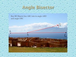 Angles In Nature 2 | PPT