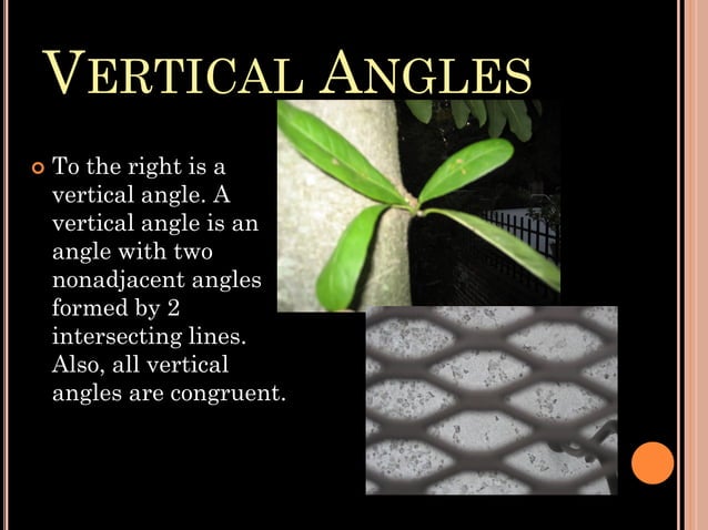 Angles Of Life Project | PDF | Physics | Science