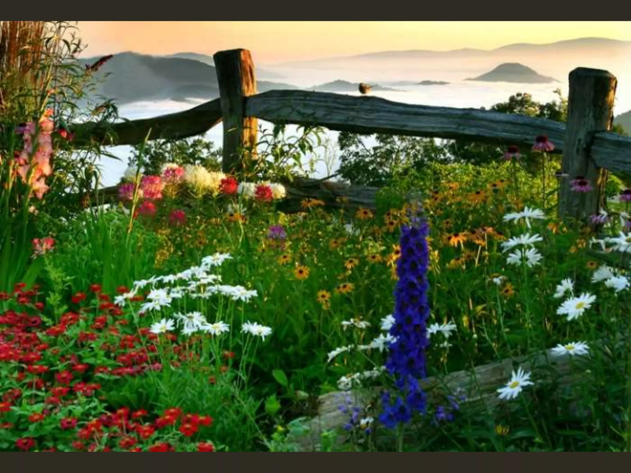 Photographic Composition and Angles | PPTX