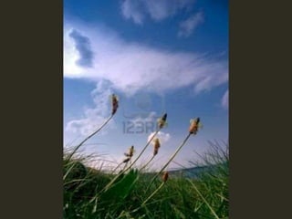 Photographic Composition and Angles | PPTX