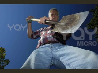 Photographic Composition and Angles | PPTX