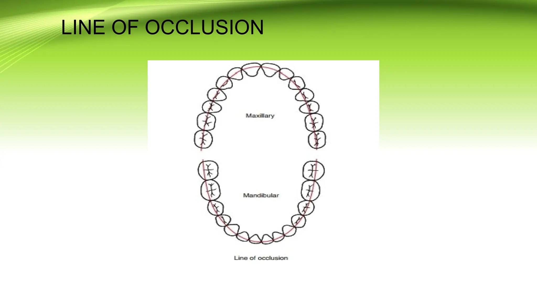 Angle’s classification of malocclusion. (2).pptx