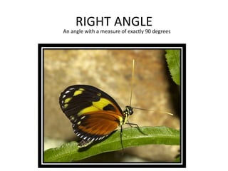 Angles In Life | PPTX