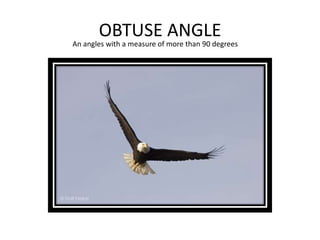 Angles In Life | PPTX