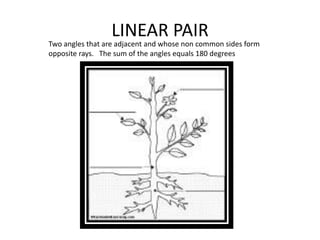 Angles In Life | PPT