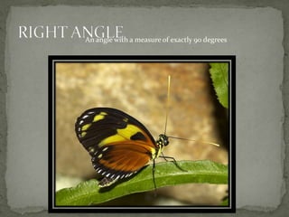 Angles In Life | PPTX