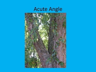 Angles In Life | PPT