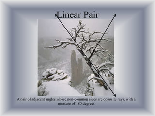 Linear Pair In Nature