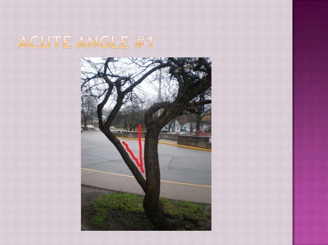 Angles in real life | PPTX