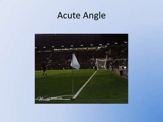 Angles In Sports | PPTX