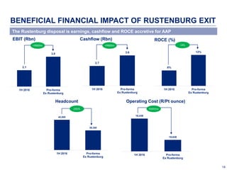Platinum business overview and update | PPT