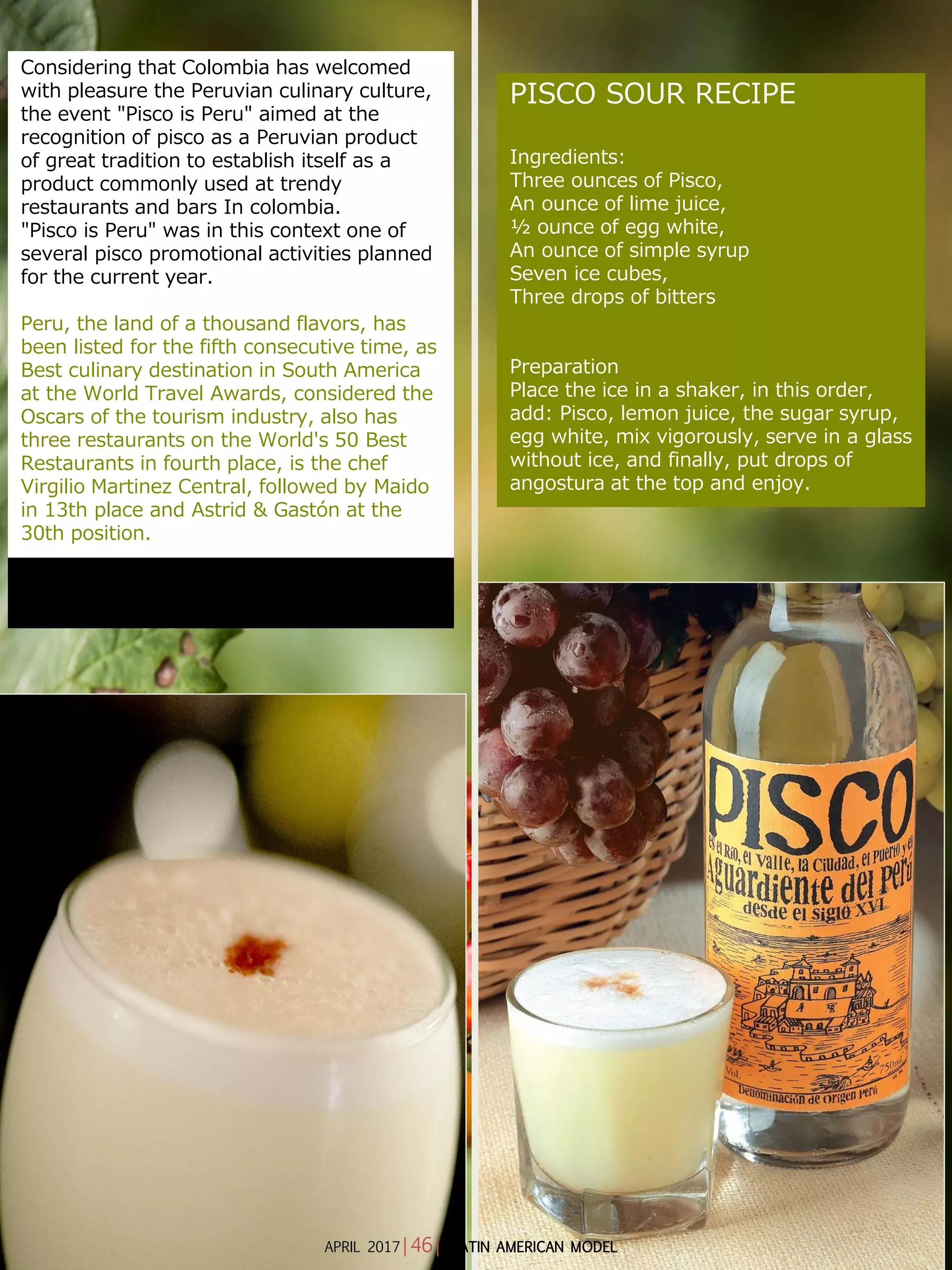 LATIN AMERICAN MODEL | PDF