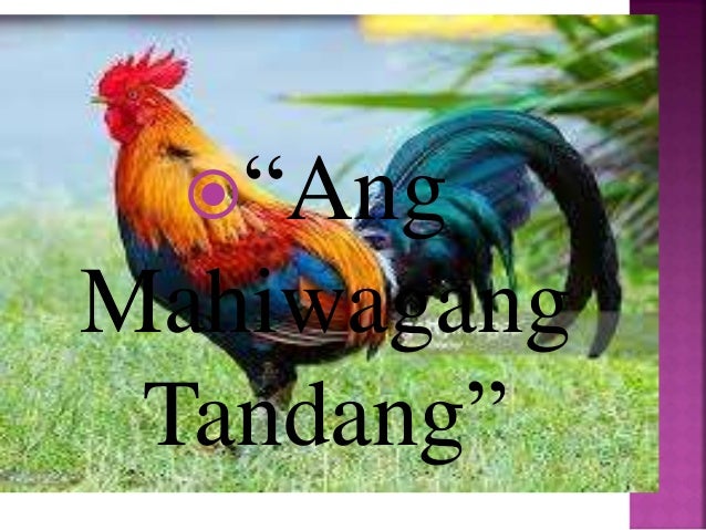 Ang mahiwagang tandang fil 7