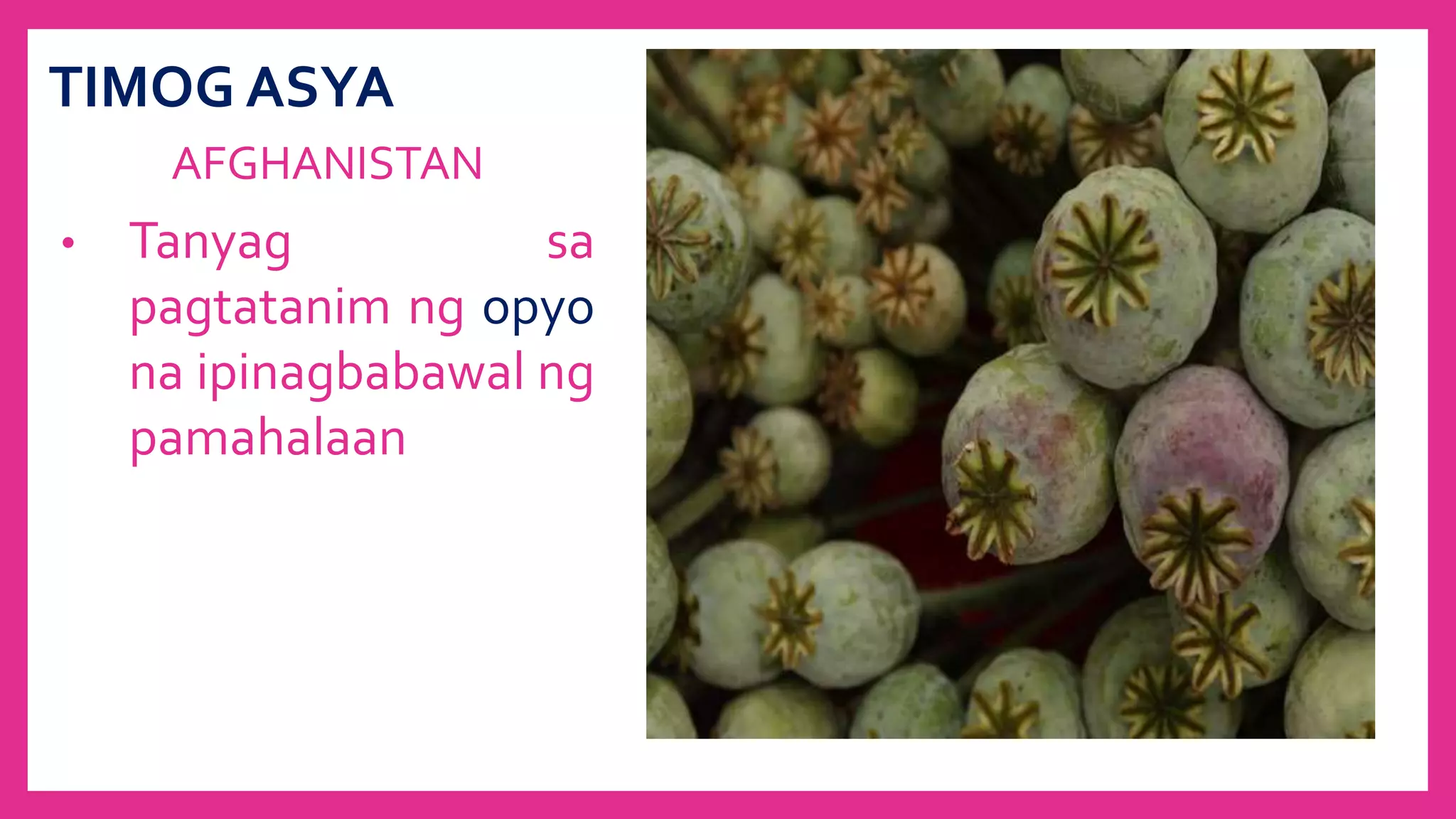Ang mga likas na yaman ng asya | PPTX