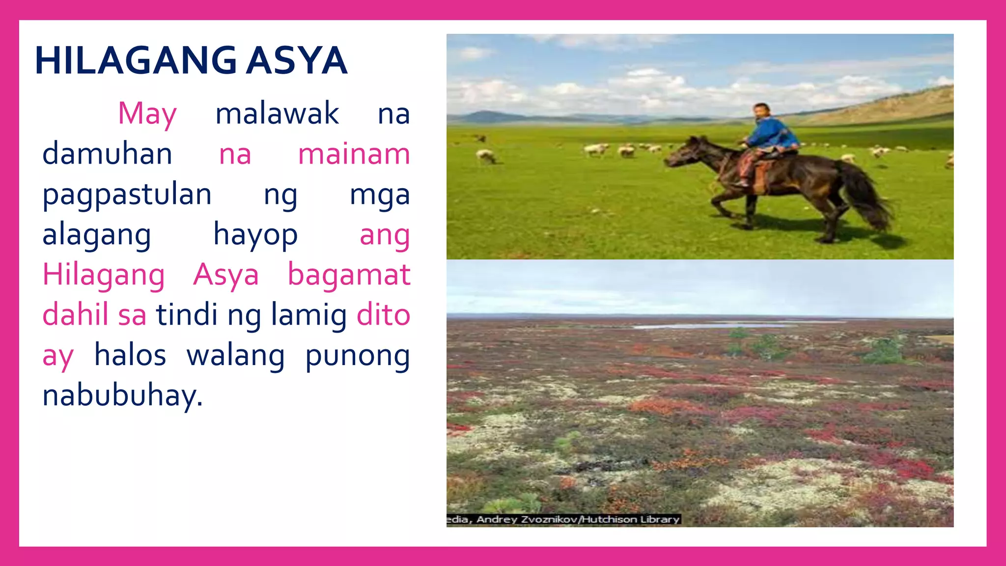 Ang mga likas na yaman ng asya | PPTX