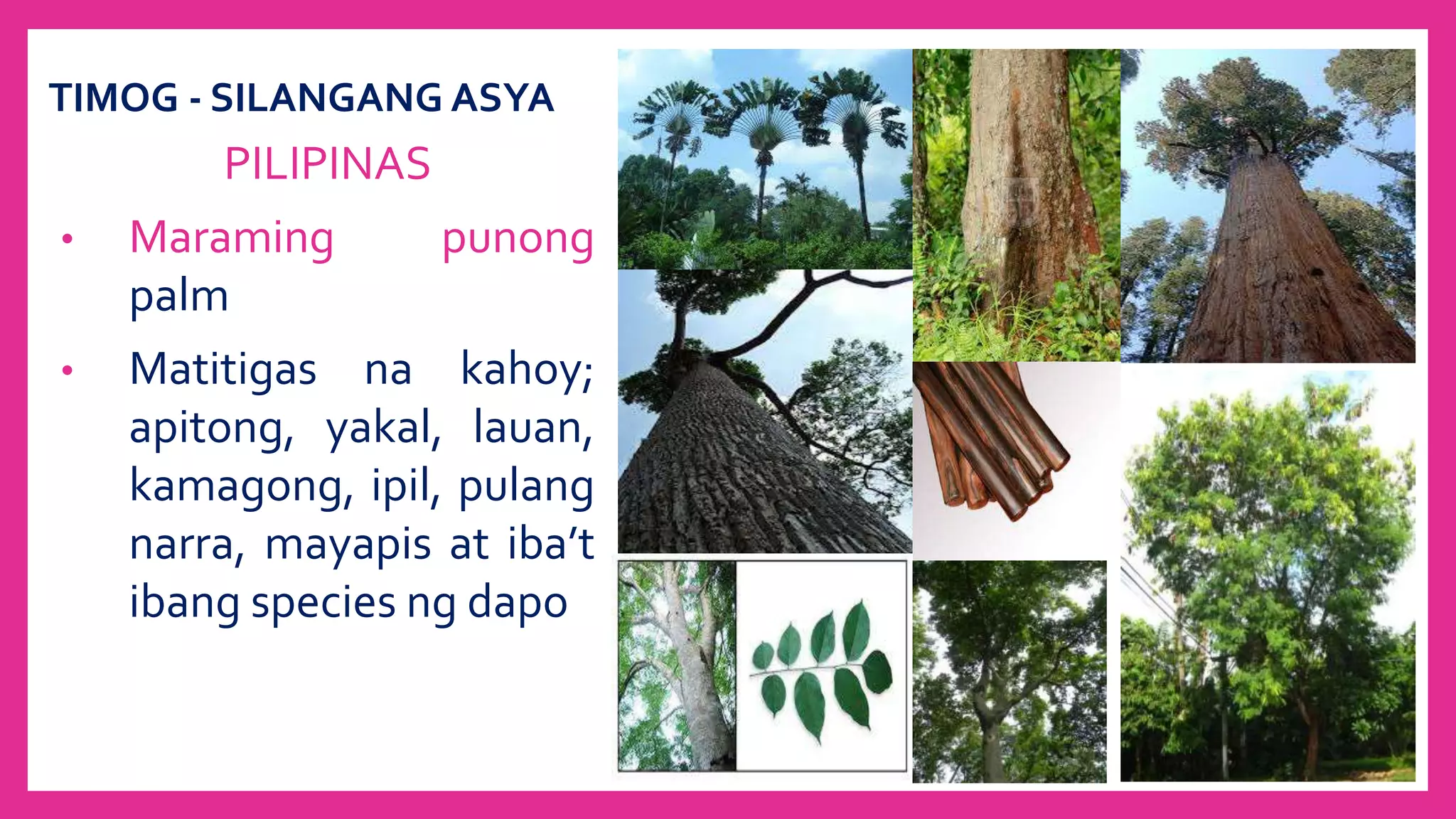 Ang mga likas na yaman ng asya | PPTX