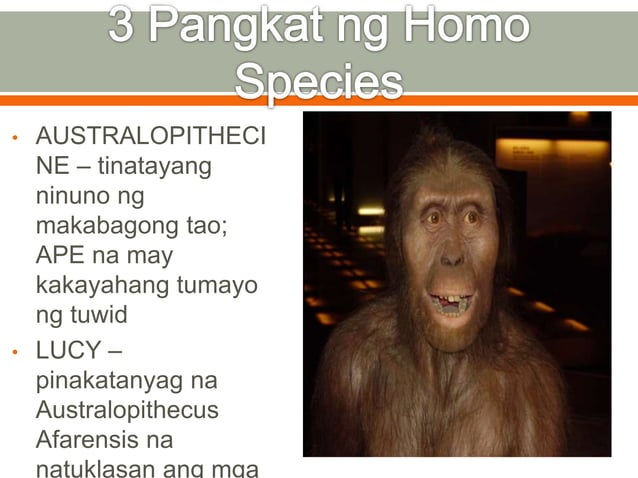 ANG MGA SINAUNANG TAO (Grade 9) | PPTX