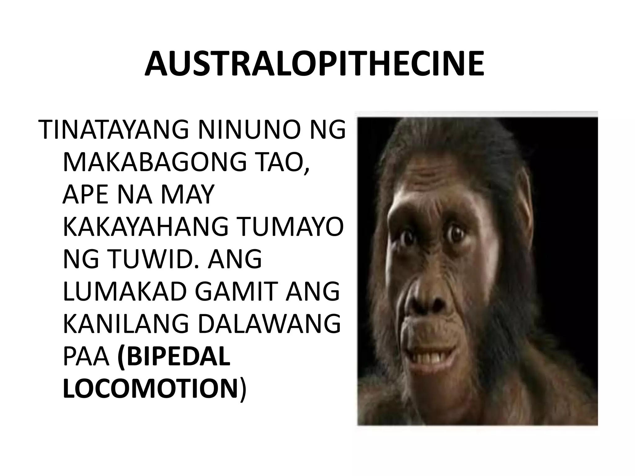 Ang mga sinaunang tao | PPTX
