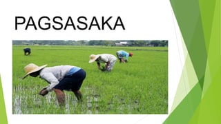 Ang Mga Suliranin at Hamong Pangkapaligiran (Part 1) | PPTX