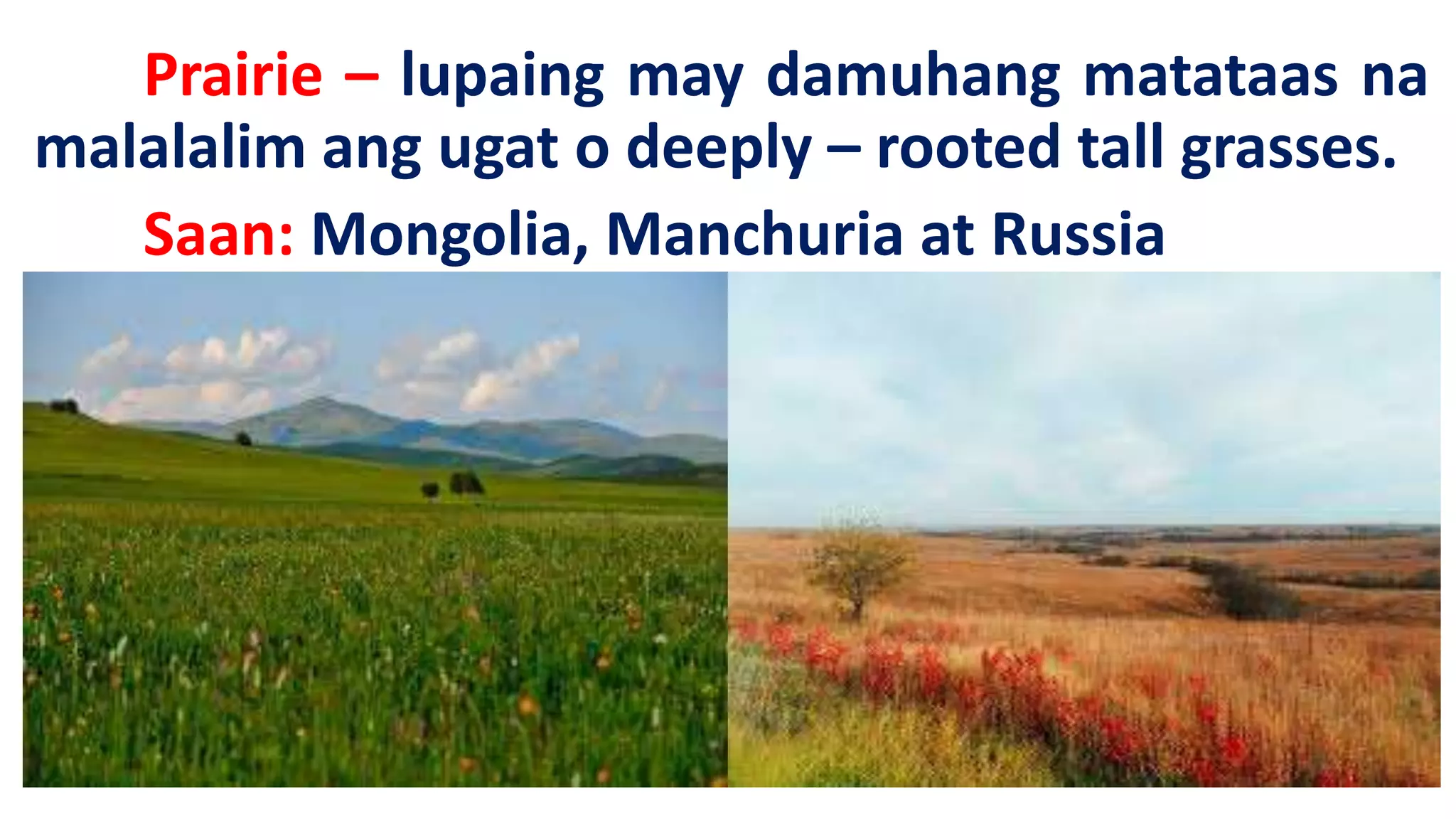 Ang mga vegetation cover ng asya | PPTX