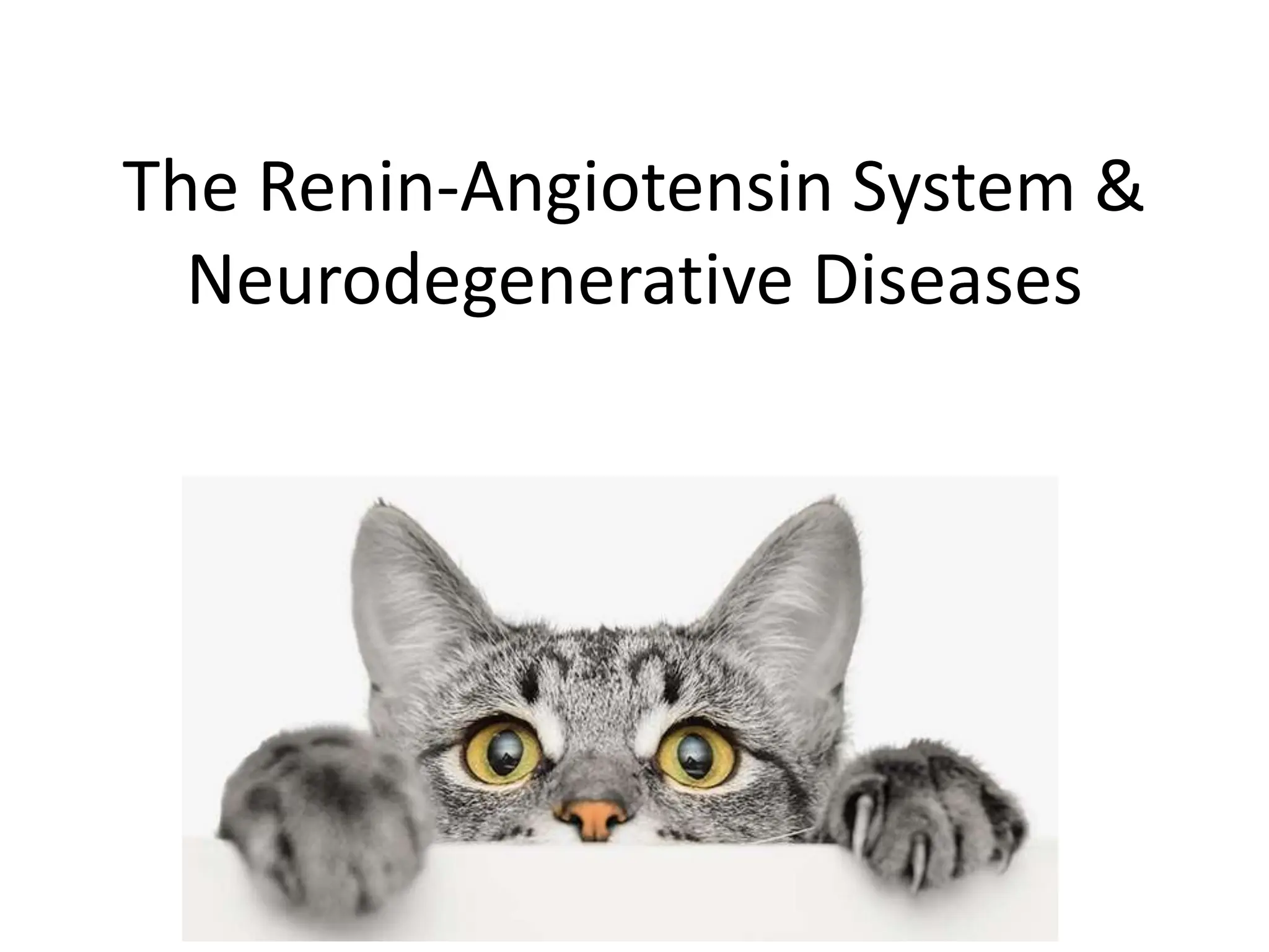 Renin-Angiotensin system and Neurodegenerative diseases | PPT