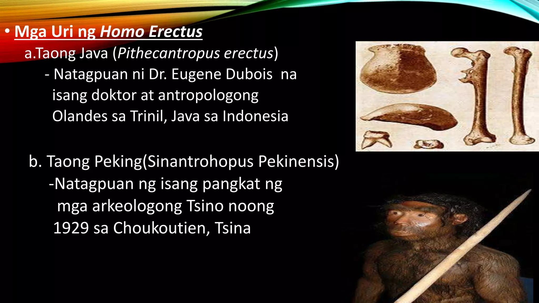 Ang pagsisimula ng mga kabihasnan sa daigdig | PPTX