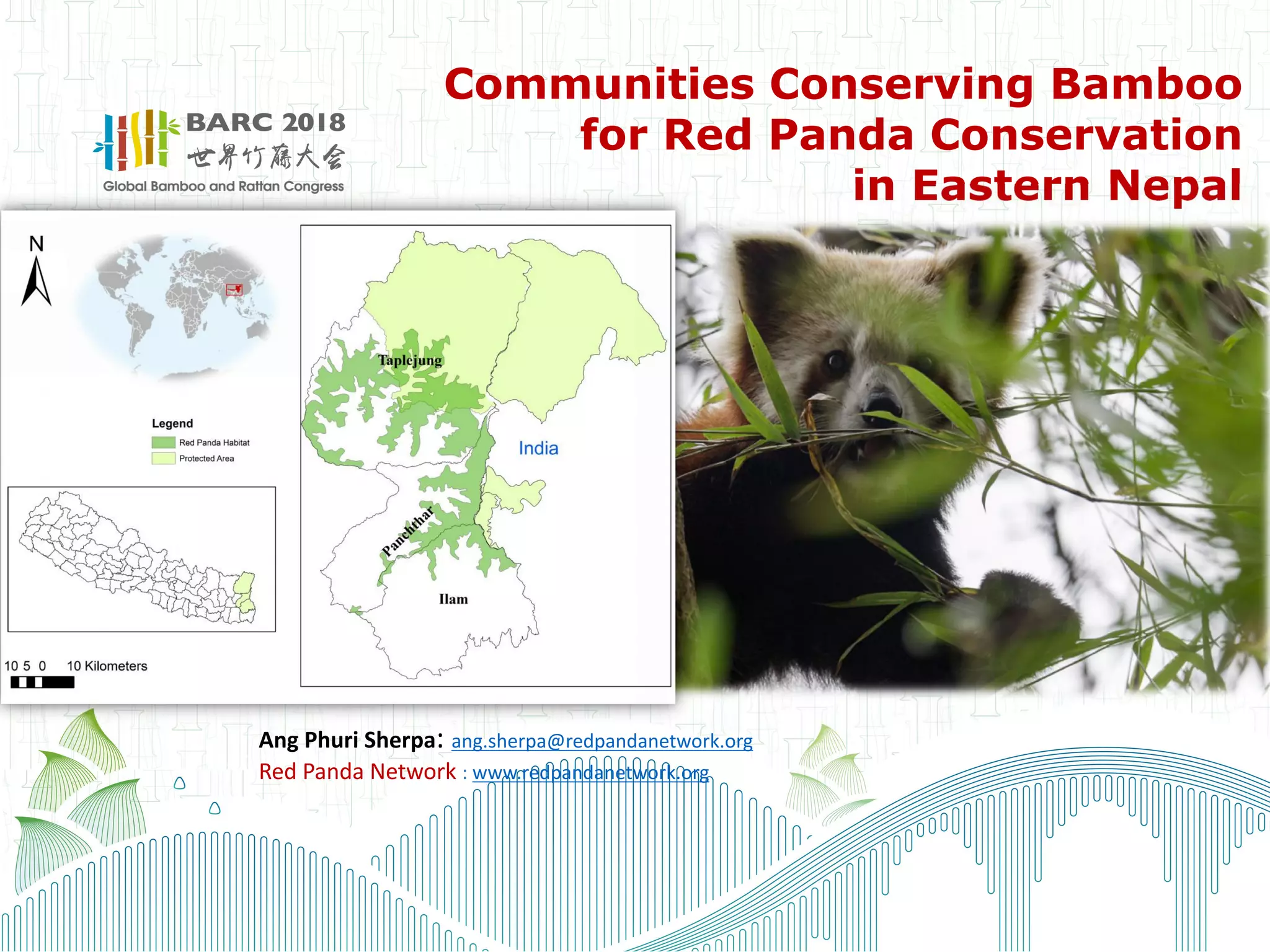 Ang Phuri Sherpa_Communities conserving bamboo for red panda ...