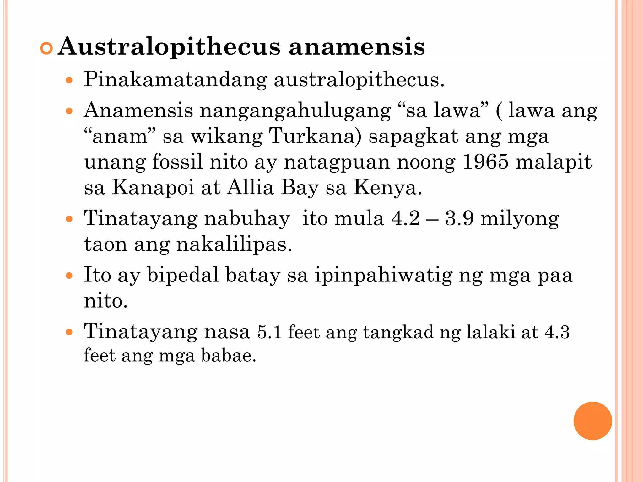 Ang Pinagmulan ng mga Unang Tao sa Daigdig - Kasaysayan ng Daigdig ...