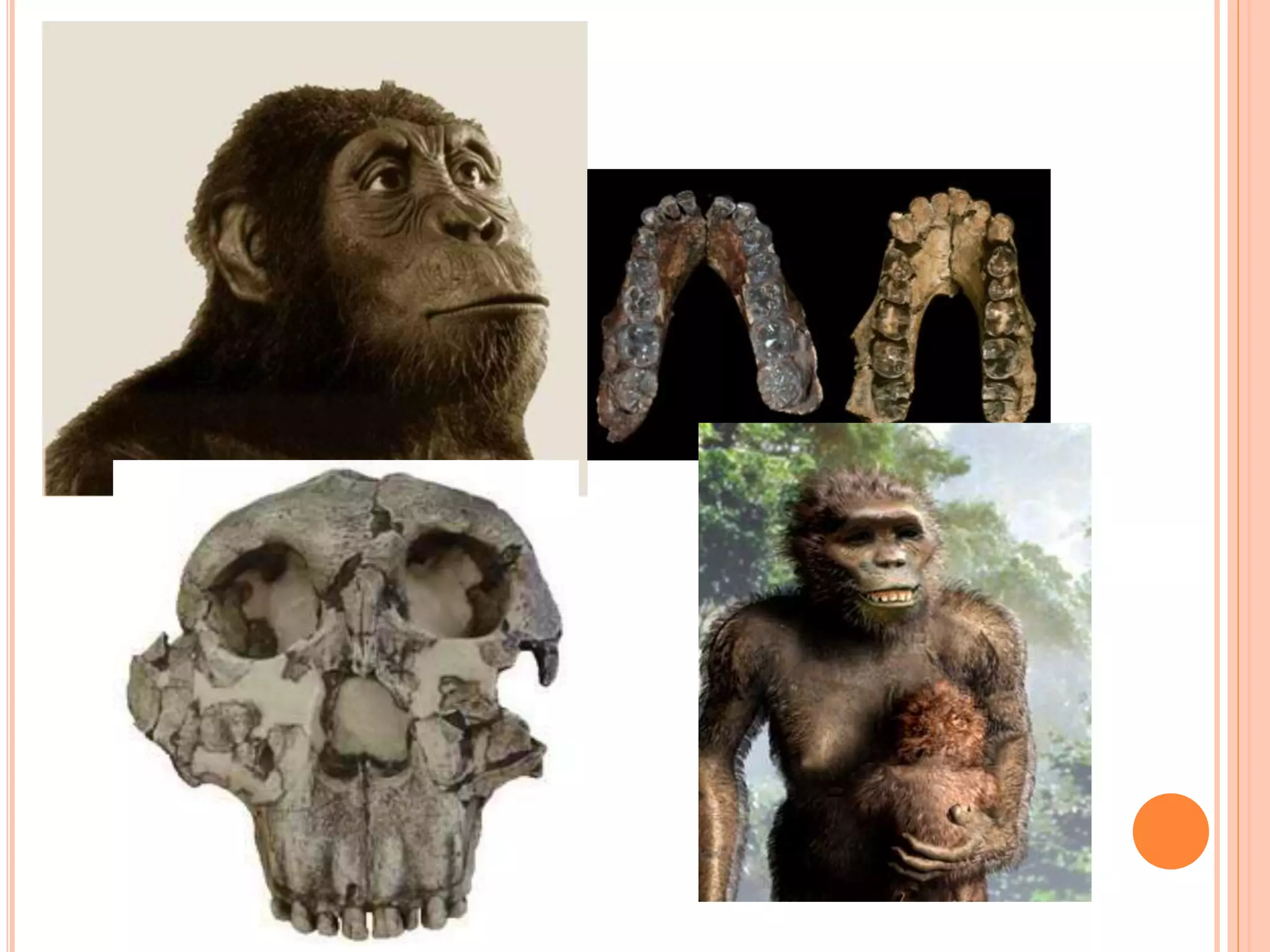 Ang Pinagmulan ng mga Unang Tao sa Daigdig - Kasaysayan ng Daigdig ...