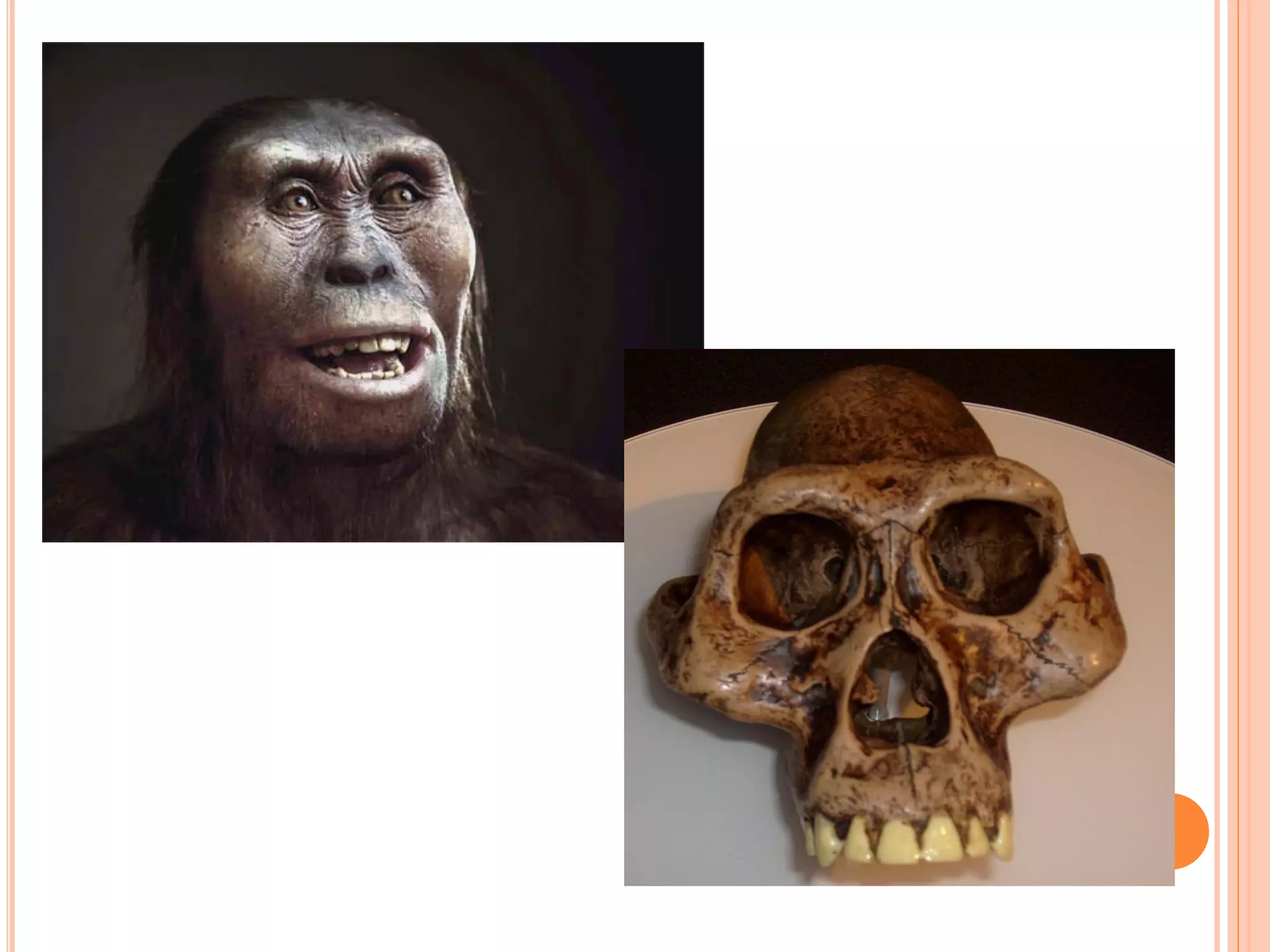 Ang Pinagmulan ng mga Unang Tao sa Daigdig - Kasaysayan ng Daigdig ...