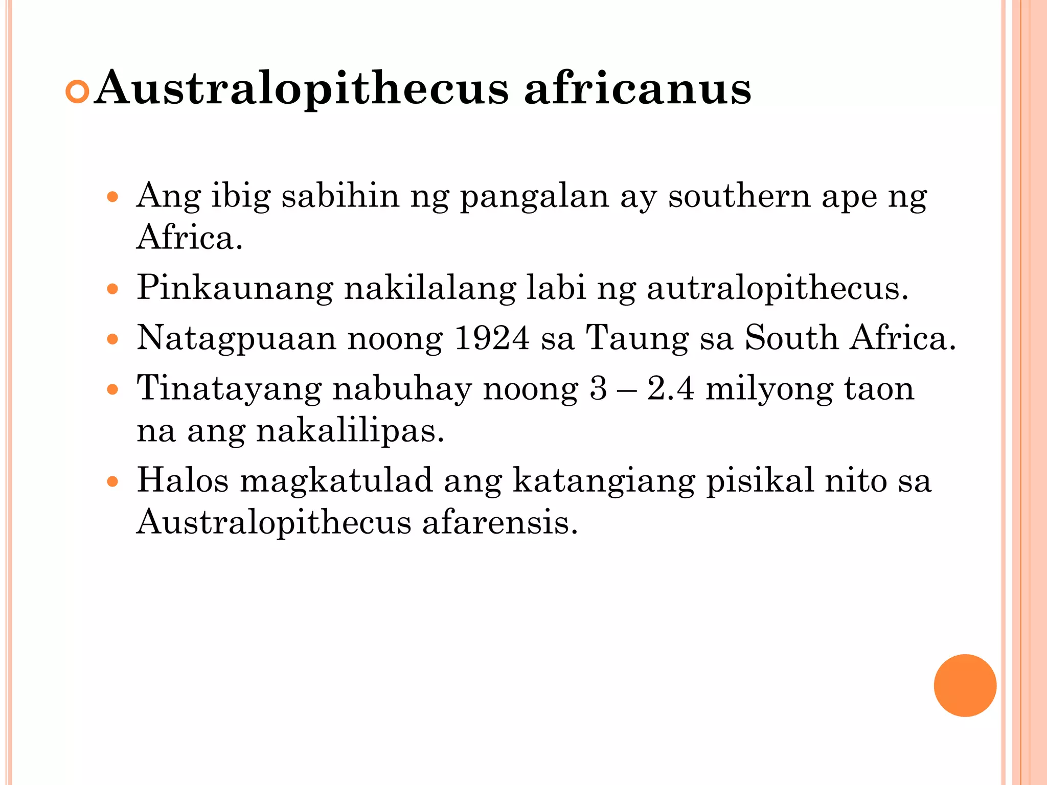 Ang Pinagmulan ng mga Unang Tao sa Daigdig - Kasaysayan ng Daigdig ...
