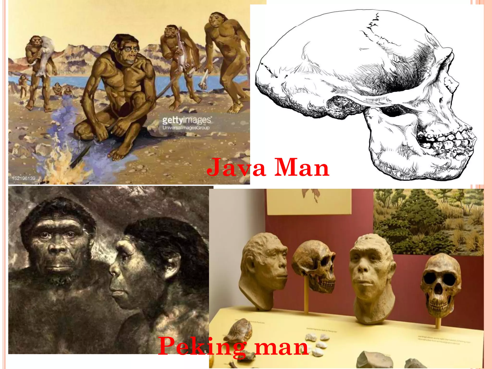 Ang Pinagmulan ng mga Unang Tao sa Daigdig - Kasaysayan ng Daigdig ...