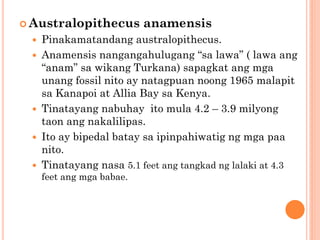 Ang Pinagmulan ng mga Unang Tao sa Daigdig - Kasaysayan ng Daigdig ...