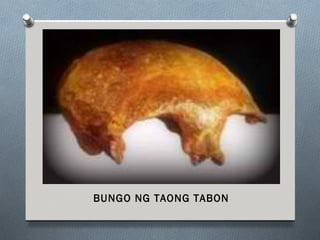 Ang pinagmulan ng tao | PPT
