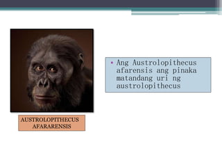 Ang Pinagmulan ng Tao sa Daigdig | PPTX